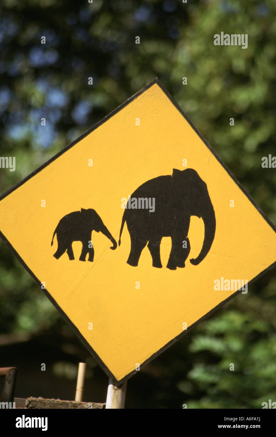 Elephant Crossing Sign High Resolution Stock Photography and Images - Alamy