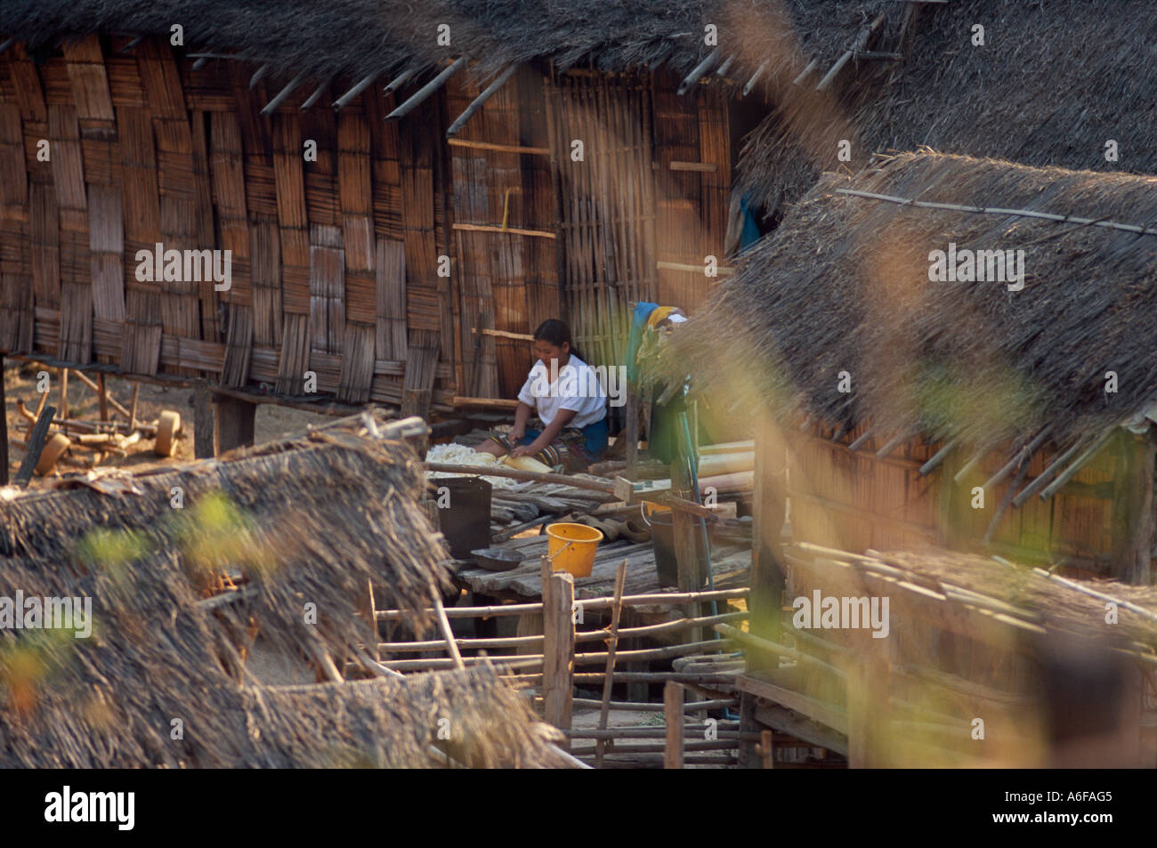 Lahu hilltribe woman chops banana stem for livestock food outside her ...