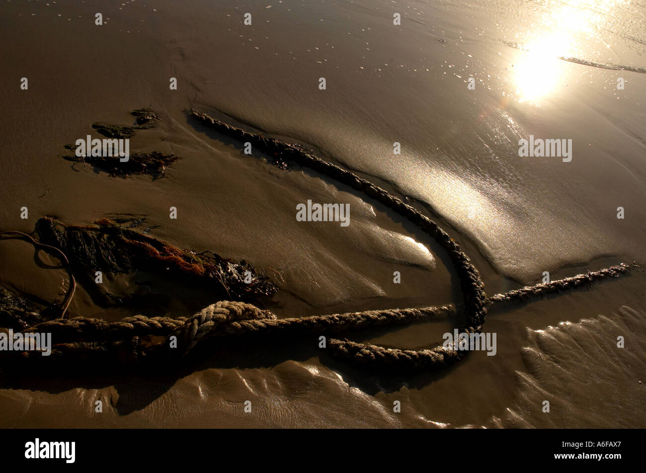 rope on sand at the beach Stock Photo - Alamy