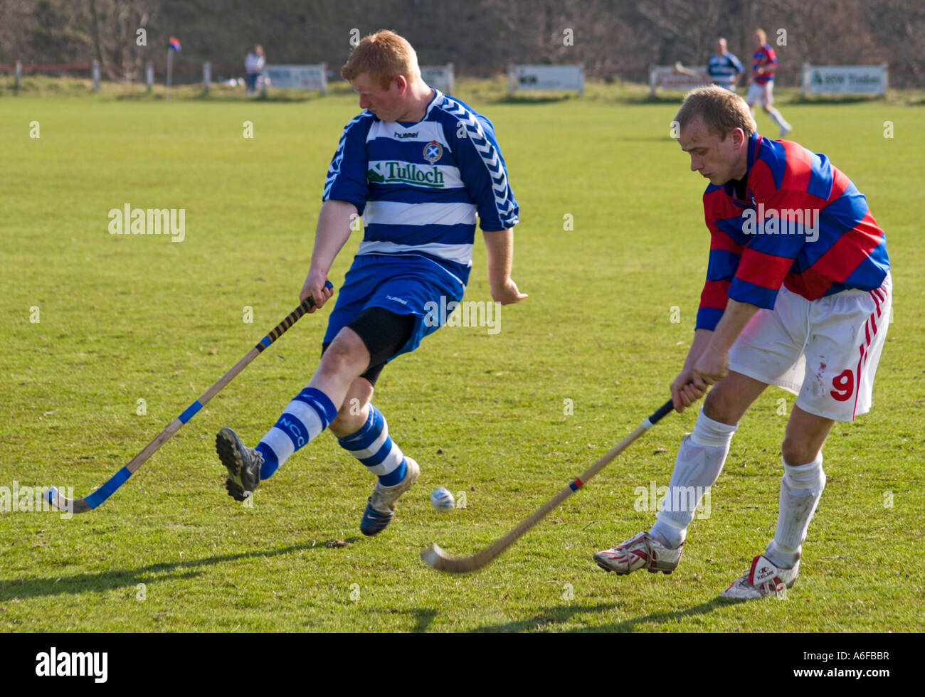 Newtonmore club camanachd hi-res stock photography and images - Alamy