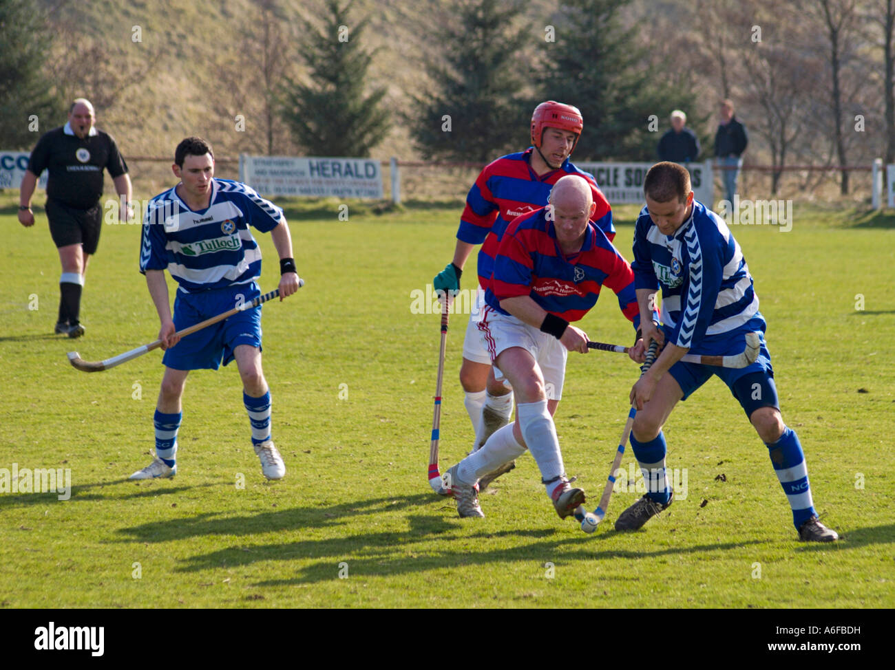 Shinty match between Kingussie and Newtonmore Stock Photo - Alamy