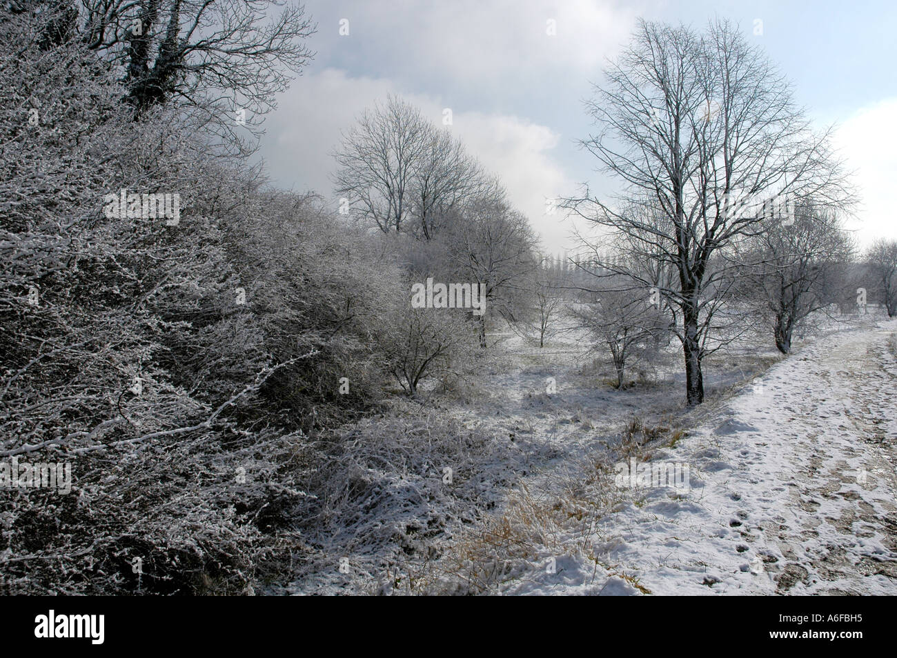 Fletcher moss snow hi-res stock photography and images - Alamy