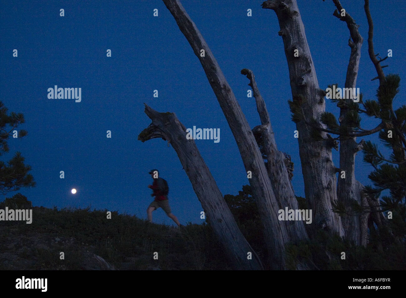 A man running and the full moon on the Tahoe Rim Trail above Lake Tahoe ...