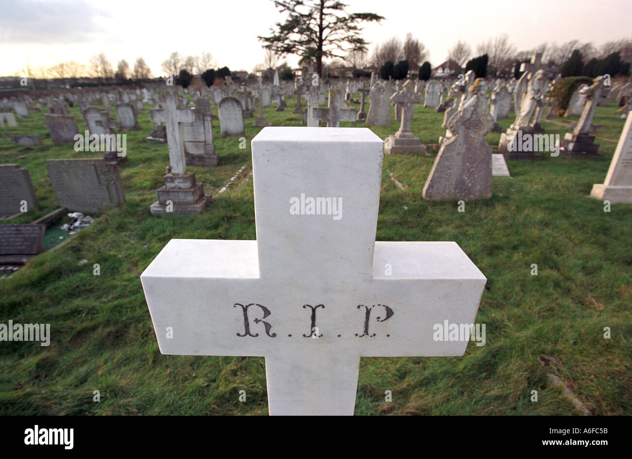 Grave, A white cross in a graveyard showing the letters R I P Stock ...