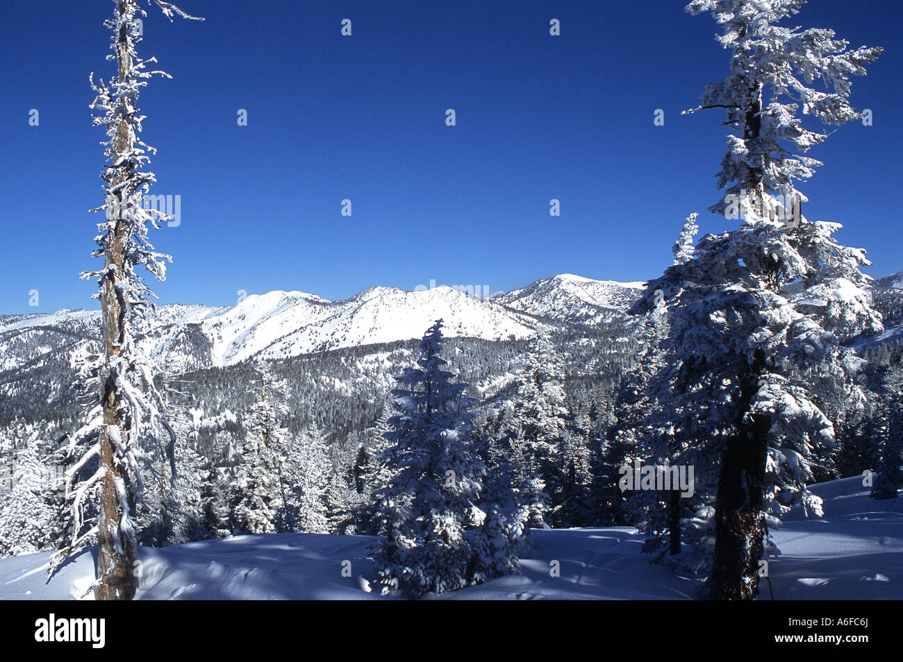 Alpine winter scene Stock Photo - Alamy