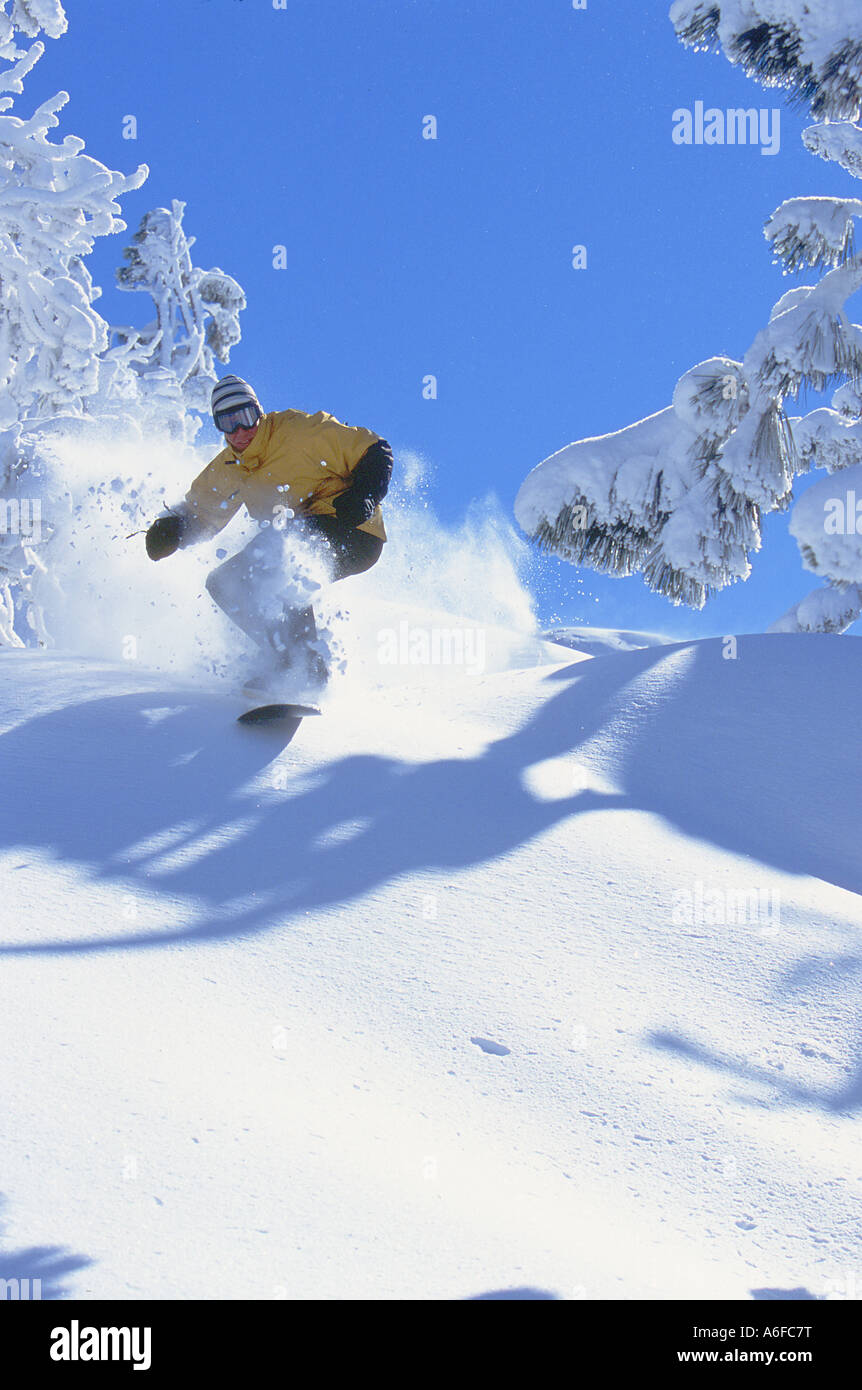 Snowboard Powder Wallpaper