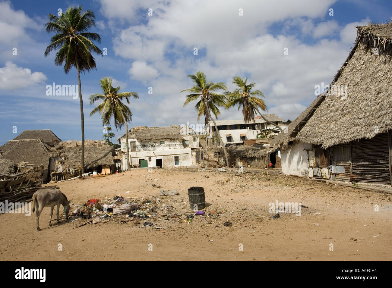 Tourist walking through narrow street Lamu Island Kenya East Africa ...