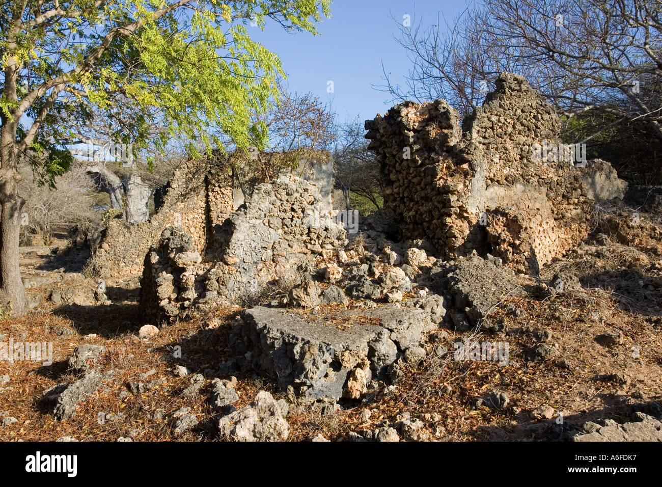 Ruins of ancient settlement at Takwa on Manda Island near Lamu Kenya ...
