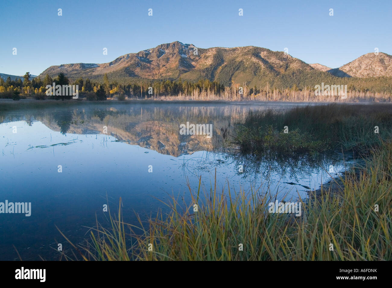 Mount Tallac reflected in a pond in Lake Tahoe California Stock Photo ...