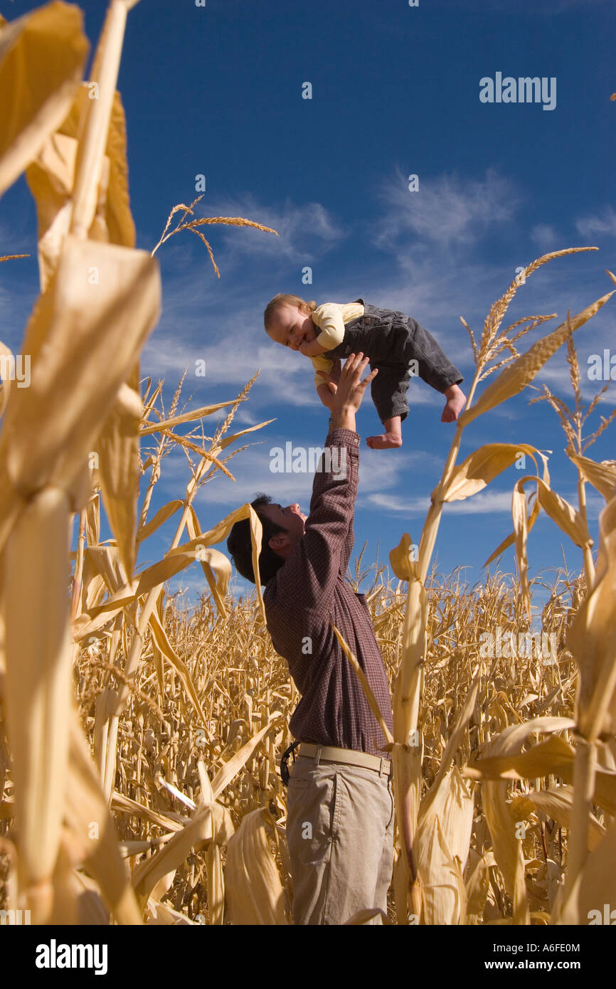 Baby corn farming hi-res stock photography and images - Alamy