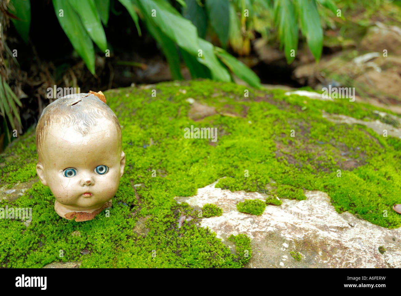 Lost Doll Head Stock Photo - Alamy