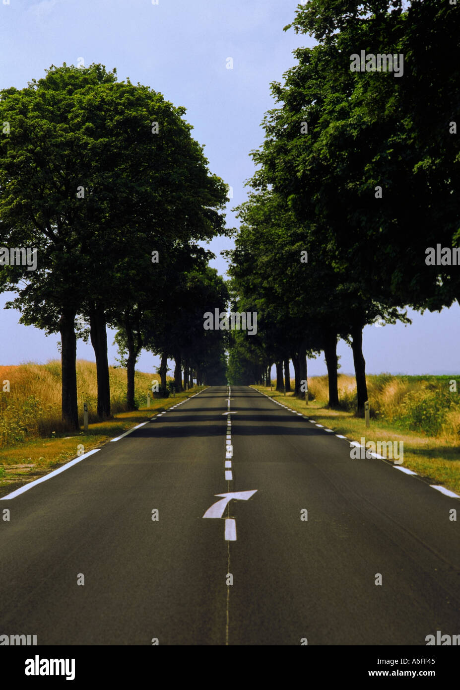 road champagne france long straight empty road in champagne region of ...