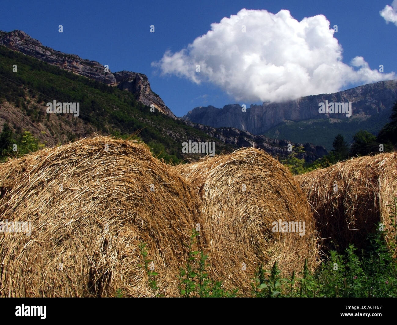 farmland drome valley drome rhone france Stock Photo - Alamy