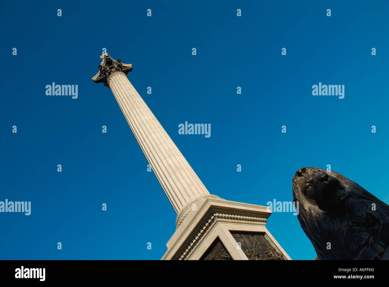 Nelson's Column, Trafalgar Square London, UK Stock Photo - Alamy