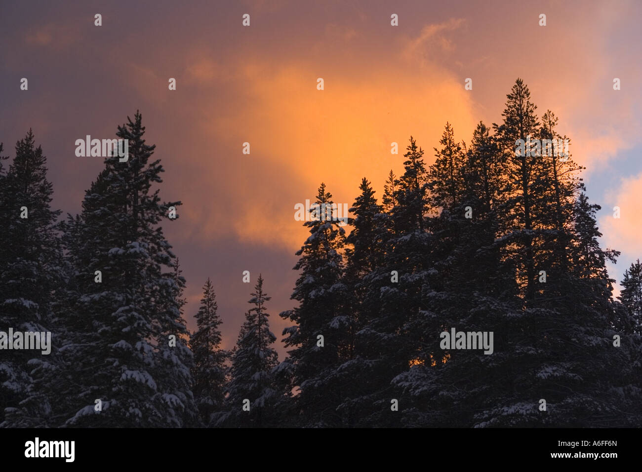 Negative silhouettes hi-res stock photography and images - Alamy