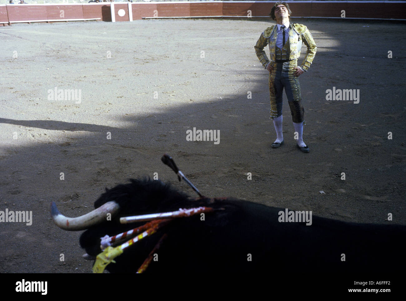 Bullfighter and bull Saltillo Coahuila Mexico Stock Photo - Alamy