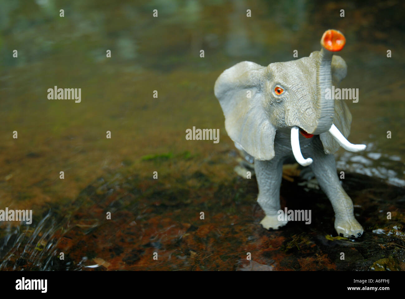 Fake elephant hi-res stock photography and images - Alamy