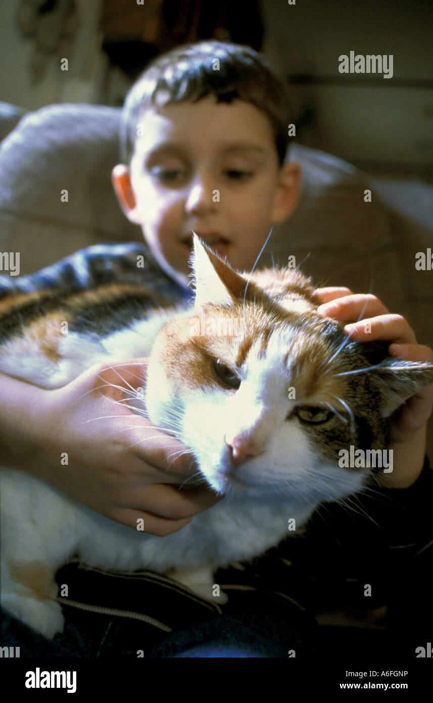 Boy with pet cat Stock Photo - Alamy