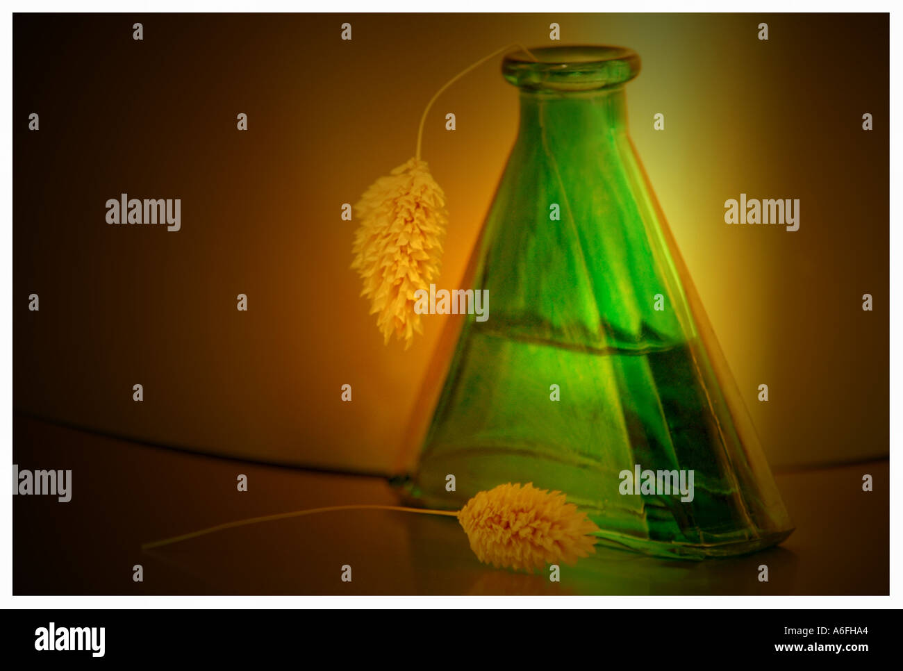 Still life study Stock Photo - Alamy