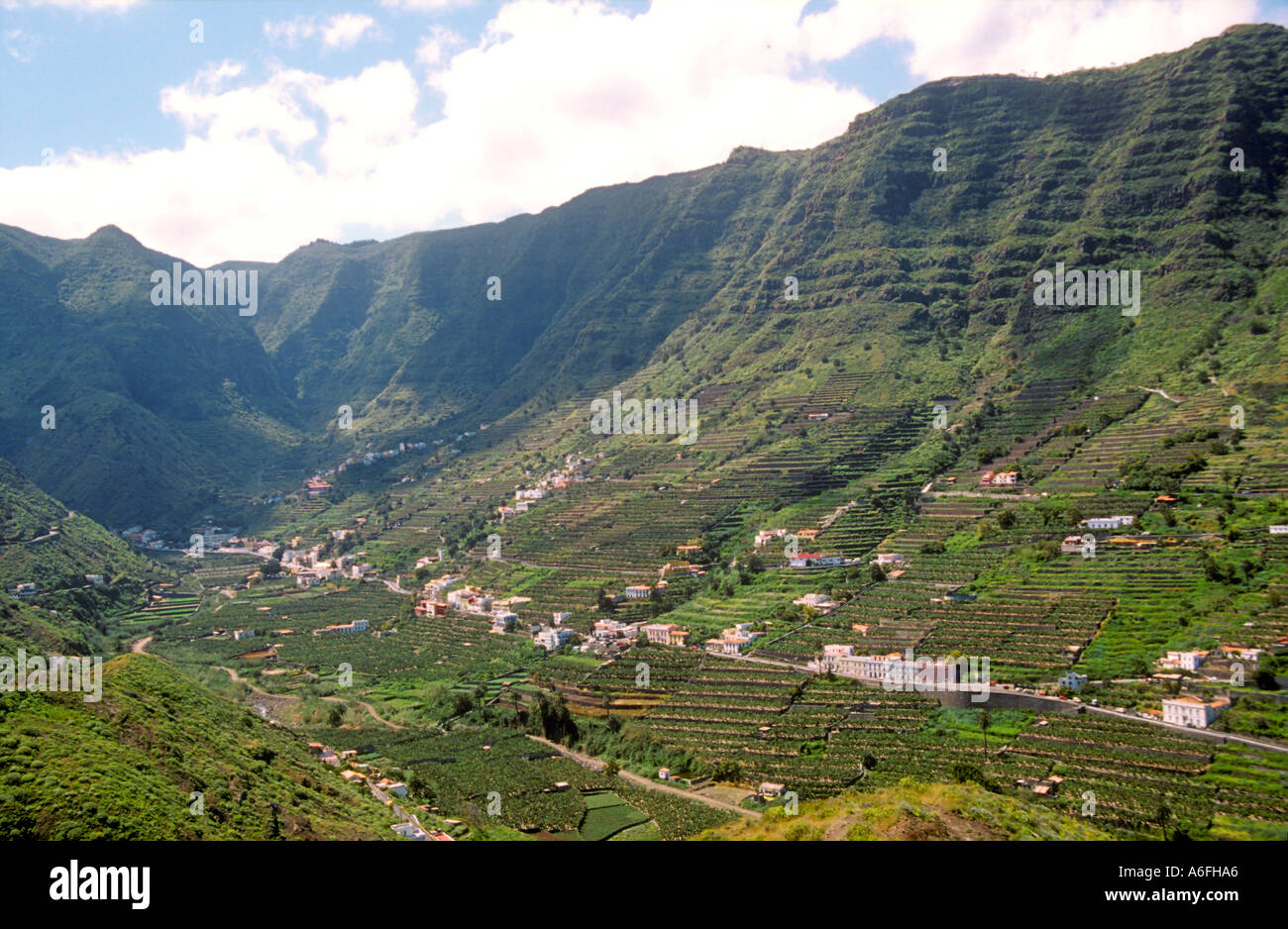 Landscape view of Hermigua valley and village showing houses and terraces La Gomera Canary ...