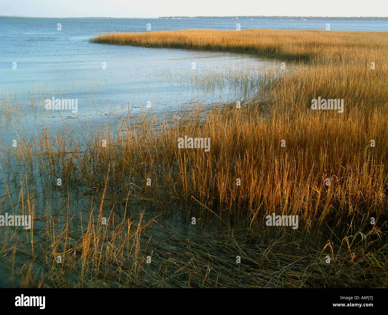 Marshland scenery hi-res stock photography and images - Alamy