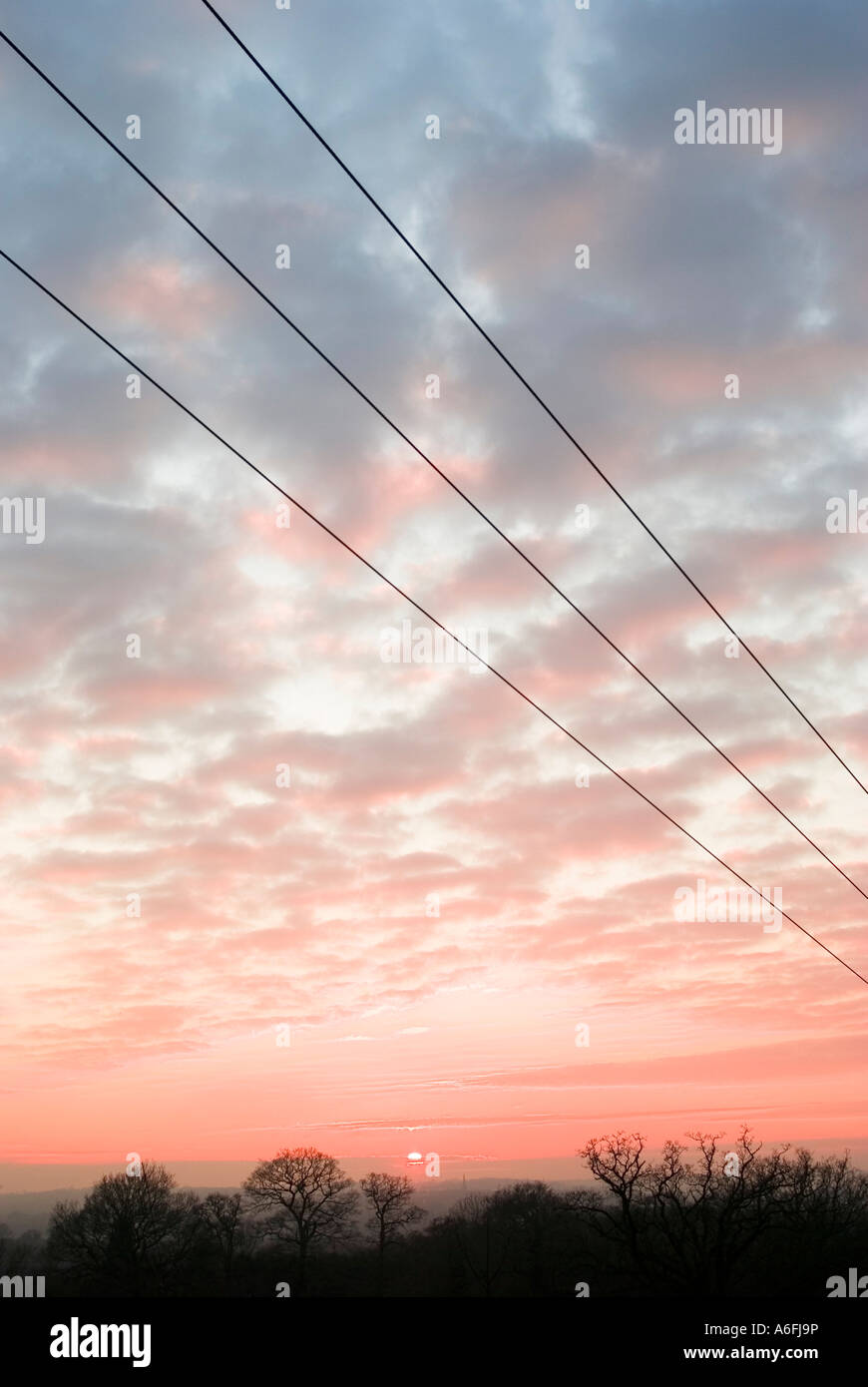 sunset over field telephone wires image Stock Photo - Alamy