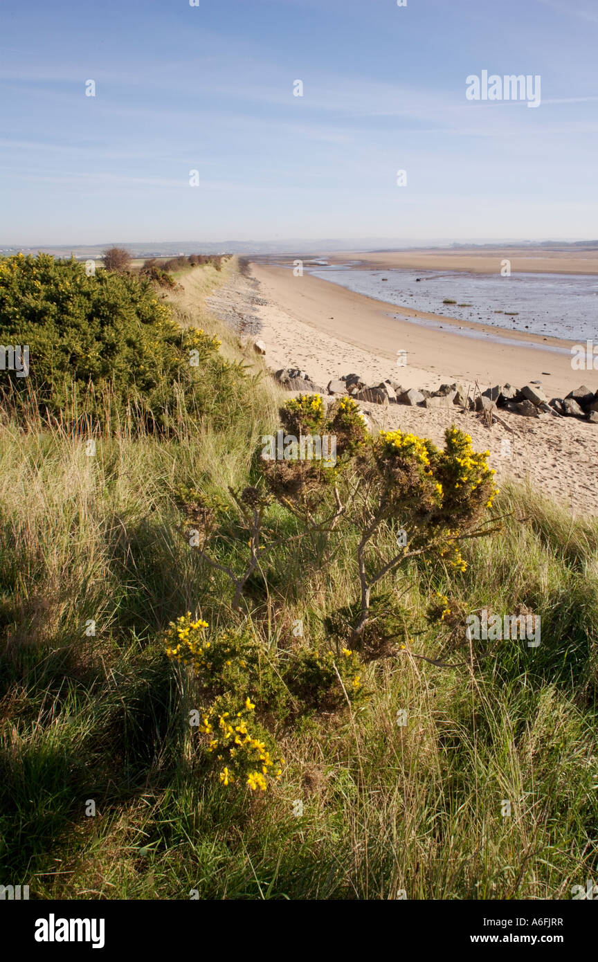 braunton burrows biosphere devon image Stock Photo - Alamy