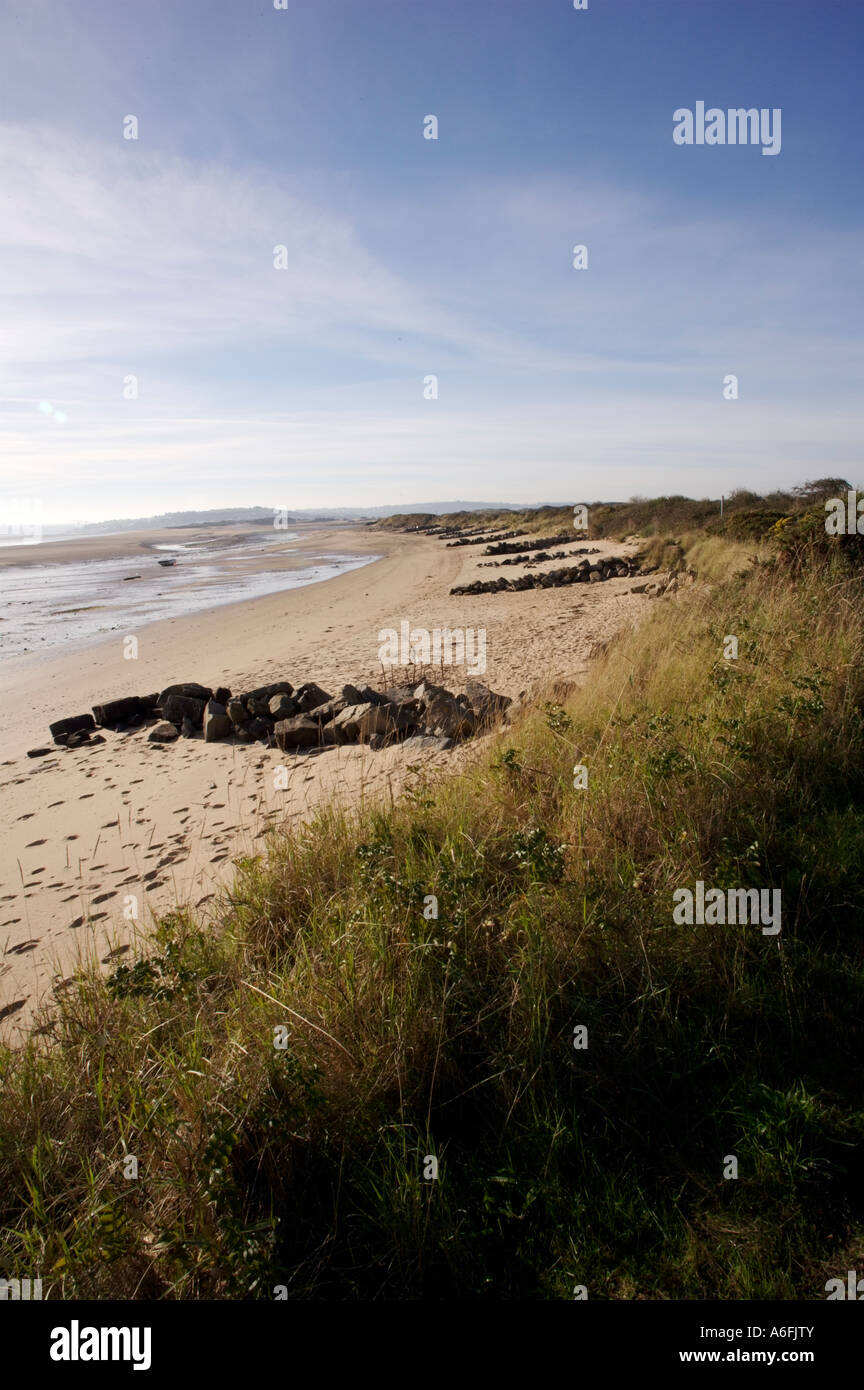 braunton burrows biosphere devon image Stock Photo - Alamy