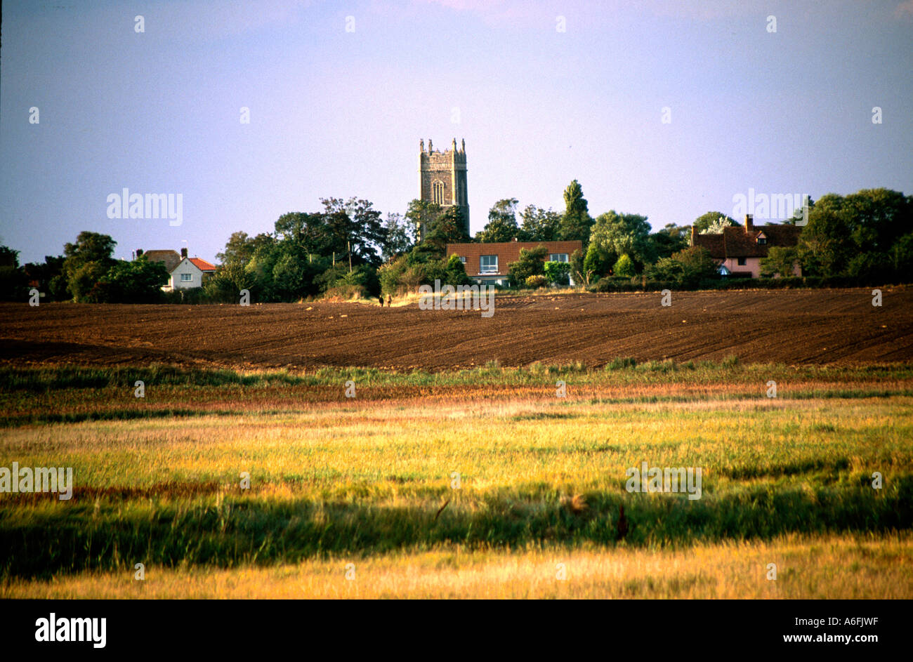 Suffolk sandlings hi-res stock photography and images - Alamy