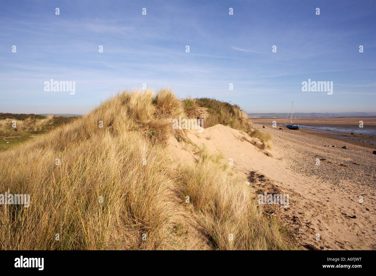 braunton burrows biosphere devon image Stock Photo - Alamy