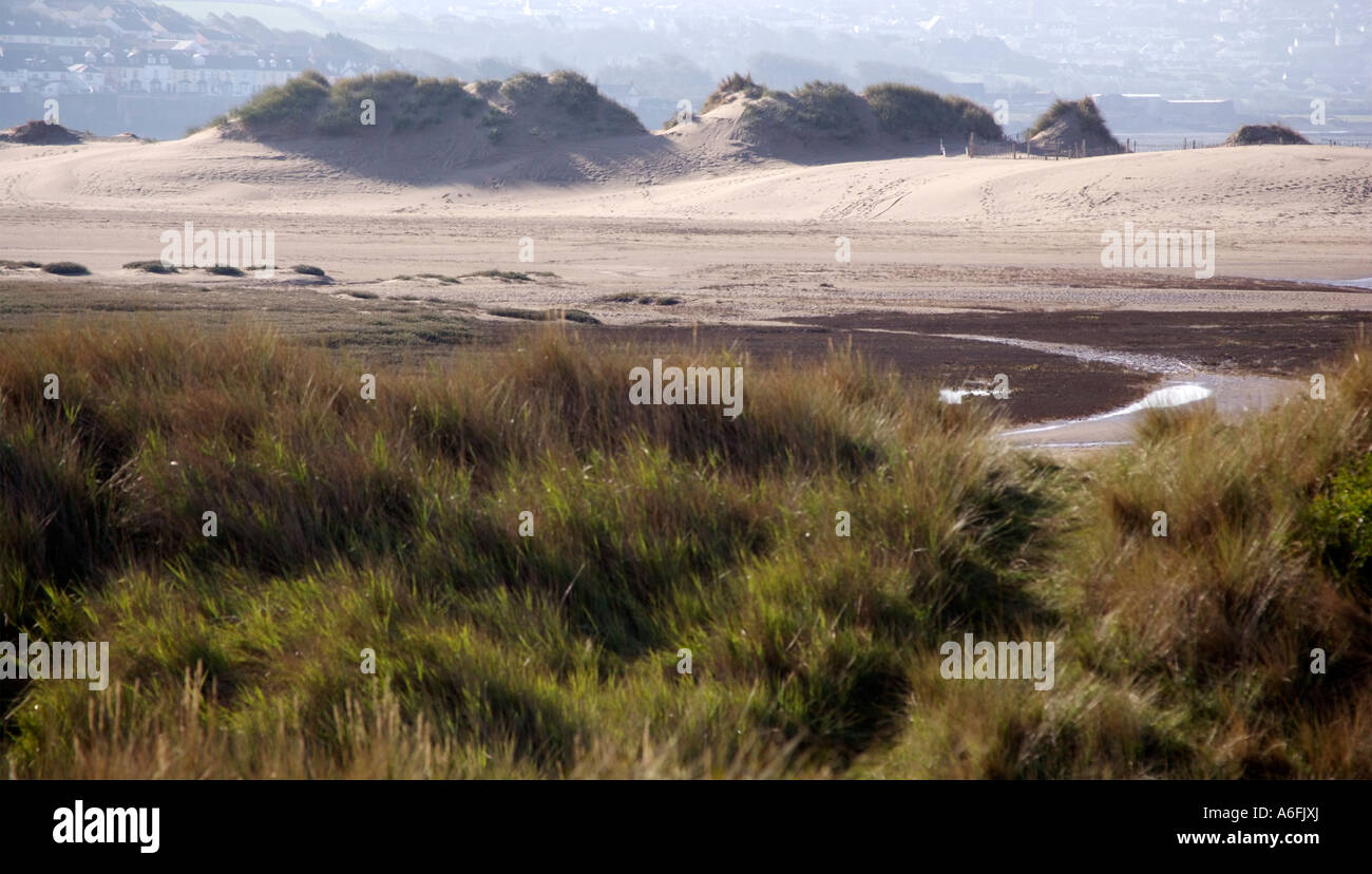 braunton burrows biosphere devon Stock Photo - Alamy