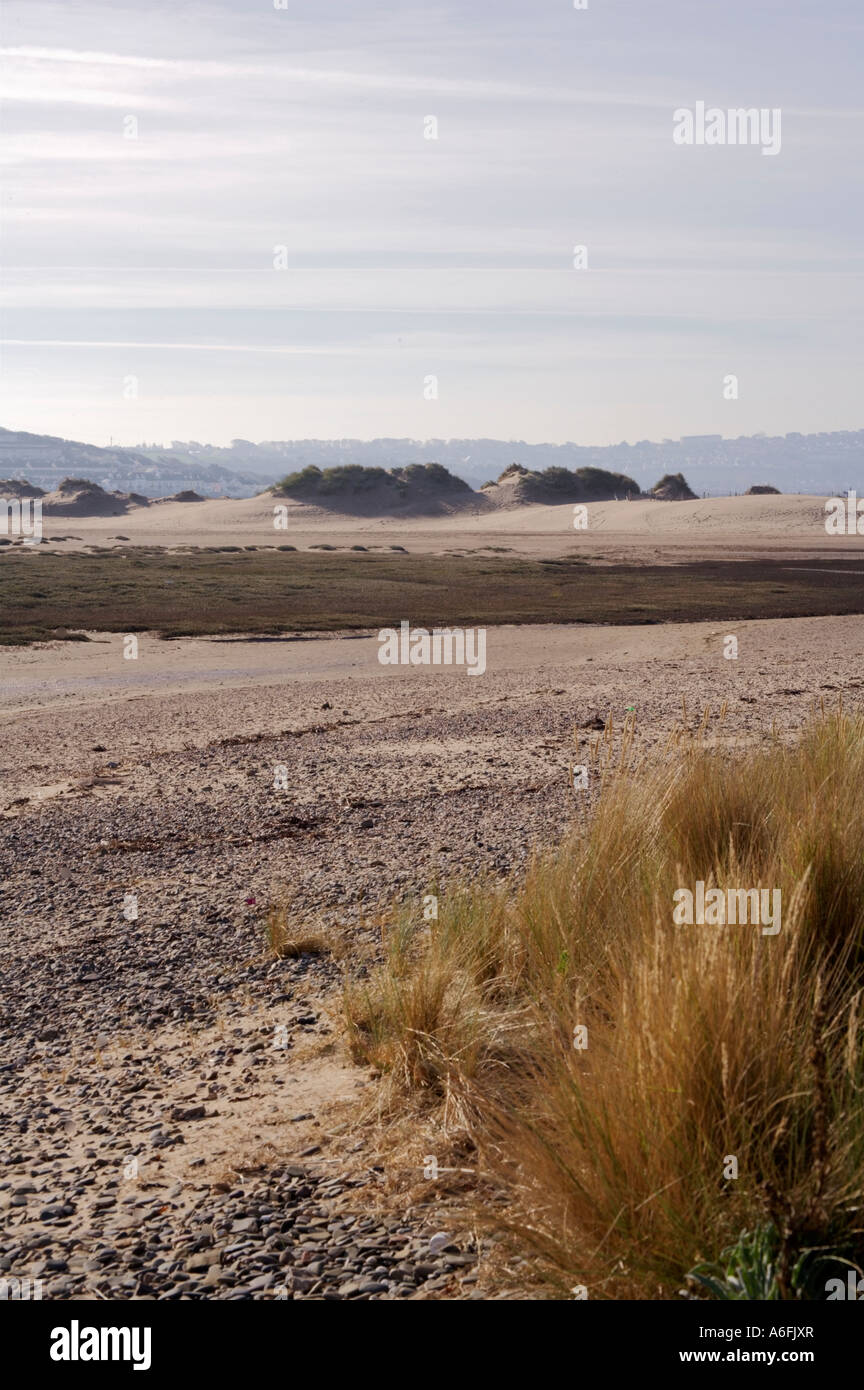 braunton burrows biosphere devon image EXCLUSIVE to and only available ...