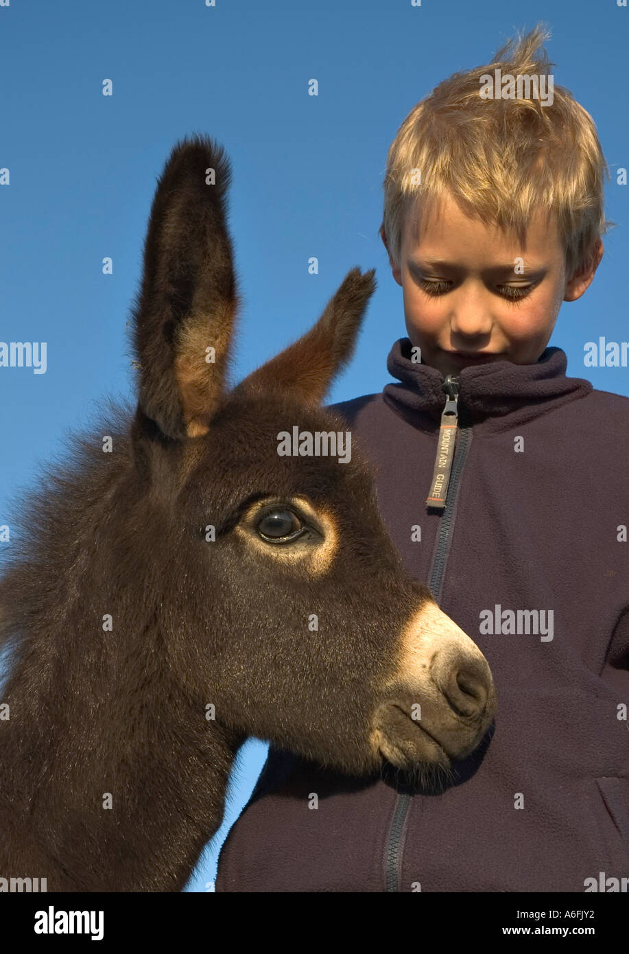 Eight year old boy and donkey foal Stock Photo - Alamy