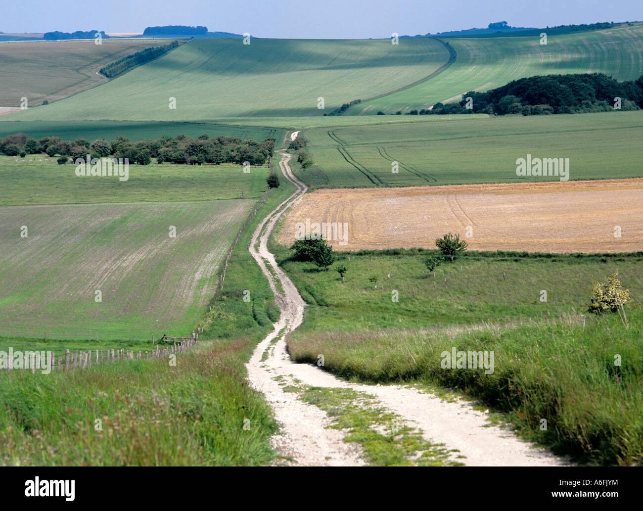 public bridleway across lambourn downs berkshire uk Stock Photo - Alamy