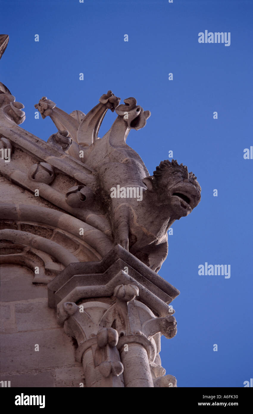 Quasimodo on top of notre dame cathedral hi-res stock photography and ...