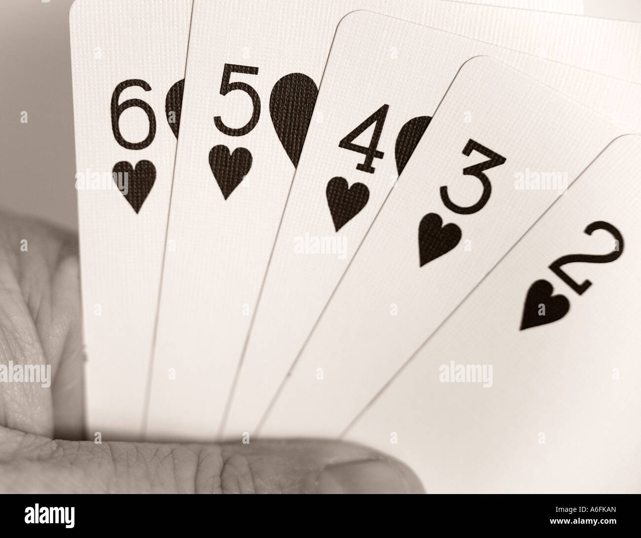 Playing cards - straight flush Stock Photo - Alamy