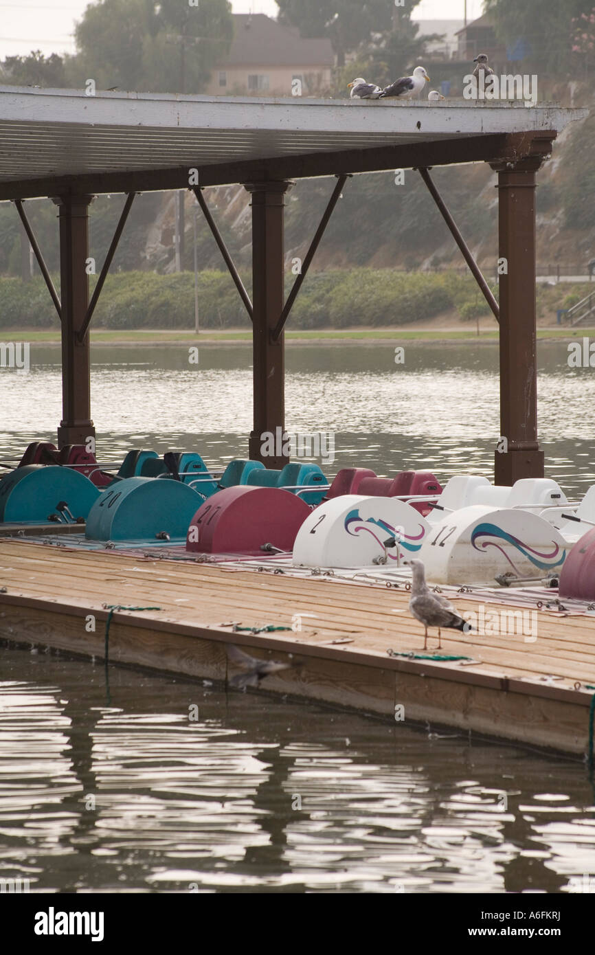 Paddle boats lined up at dock of lake at Echo park in Los Angeles ...