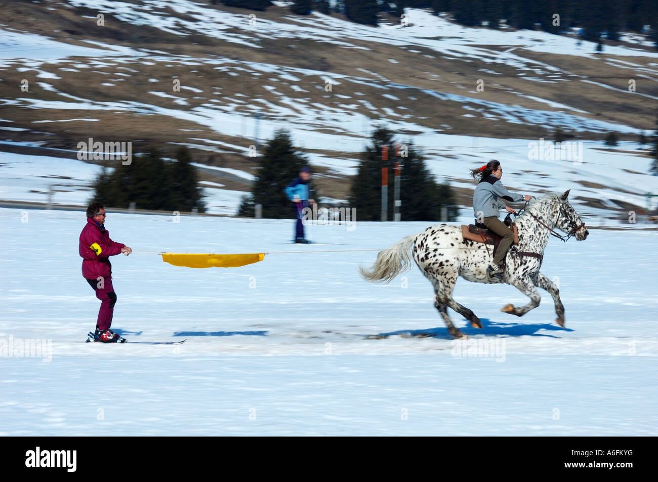 Ski joring hi-res stock photography and images - Alamy
