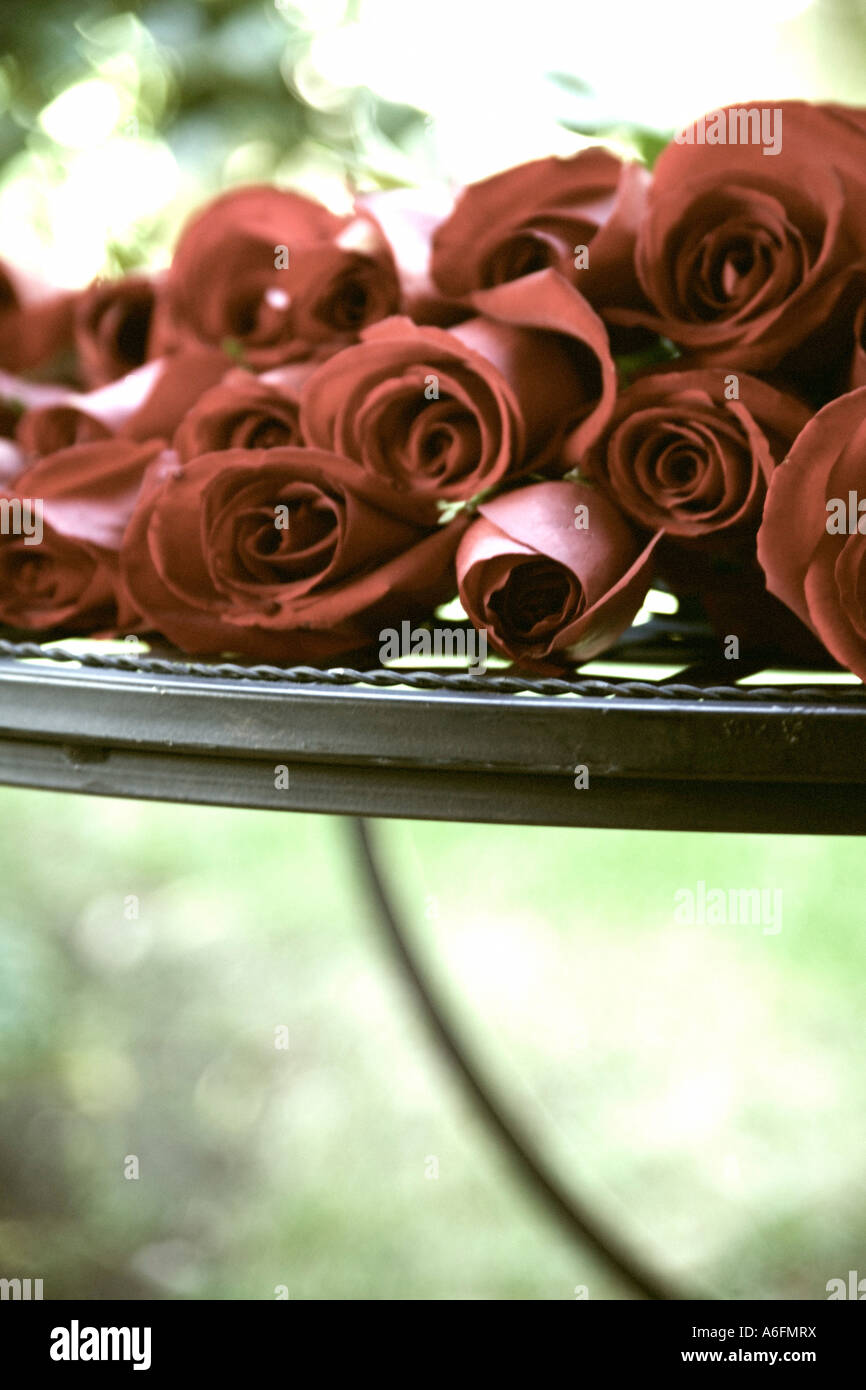 Red roses on bistro table Stock Photo - Alamy