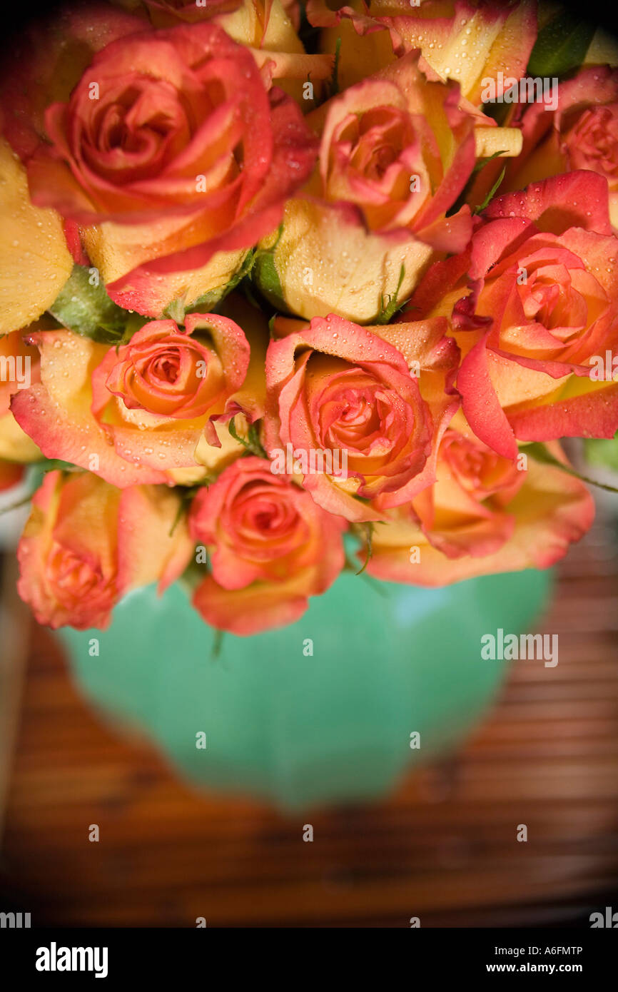 Roses in vase Stock Photo - Alamy