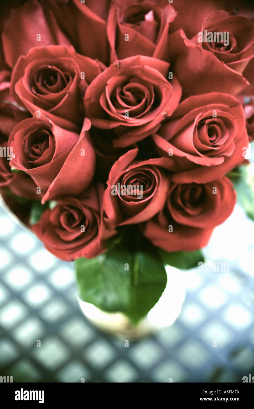 Red roses in vase Stock Photo - Alamy