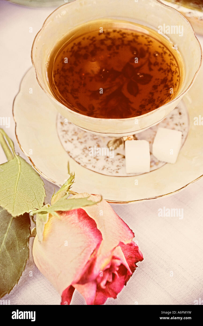 Antique tea cup and rose Stock Photo - Alamy