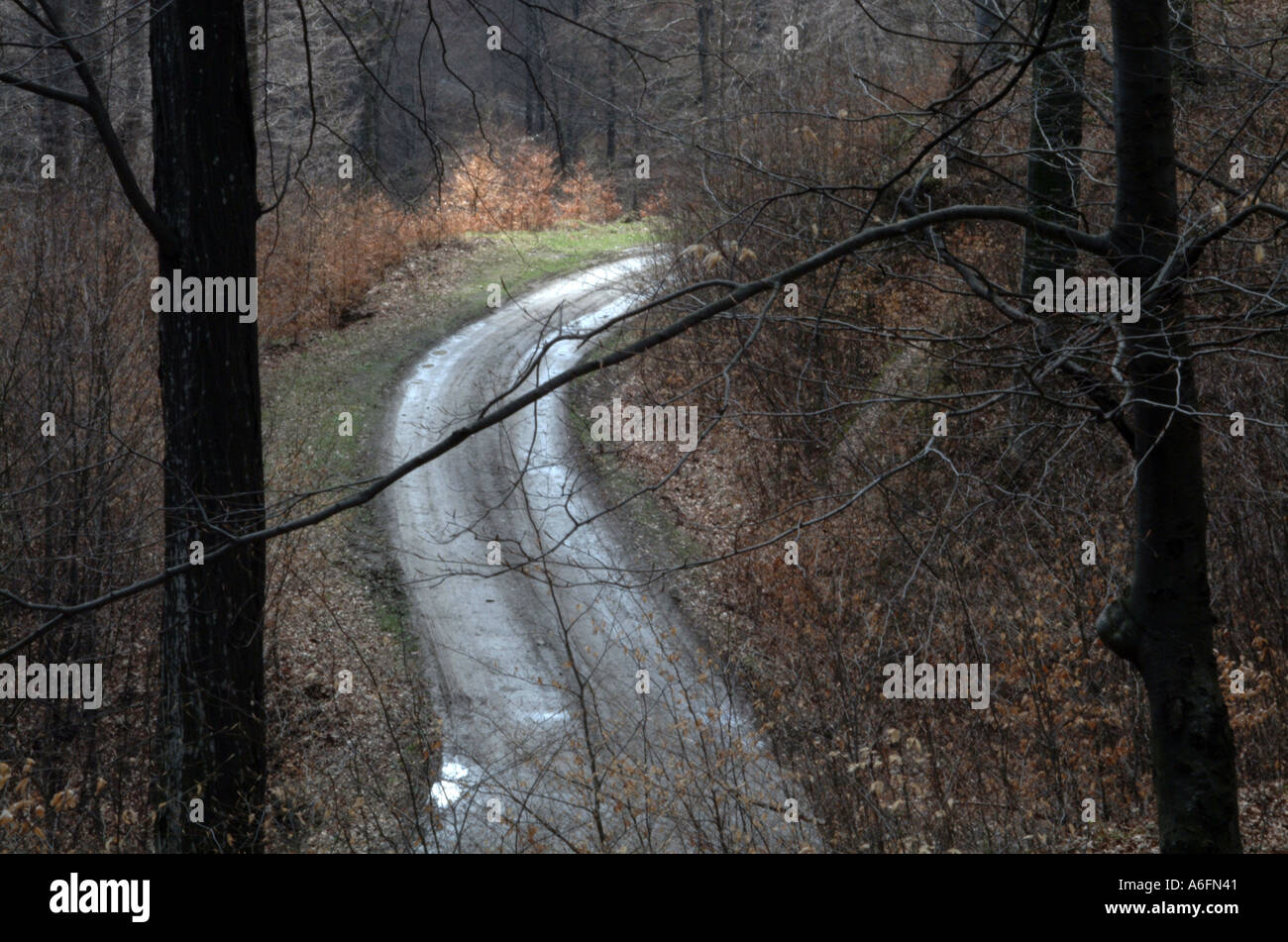 Conduction pathway hi-res stock photography and images - Alamy