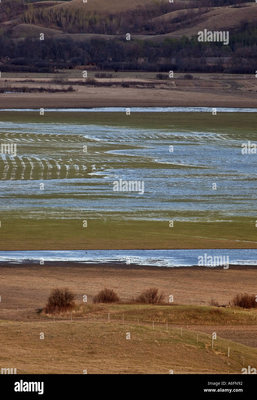Buffalo pound provincial park hi-res stock photography and images - Alamy