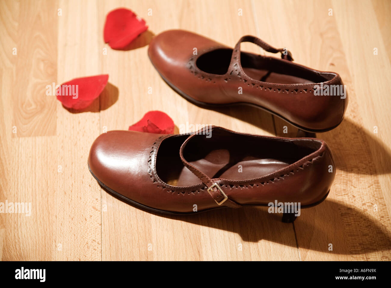 Shoes and rose petals Stock Photo - Alamy