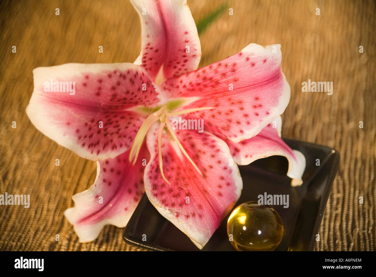 Lilly and bath oil ball Stock Photo - Alamy