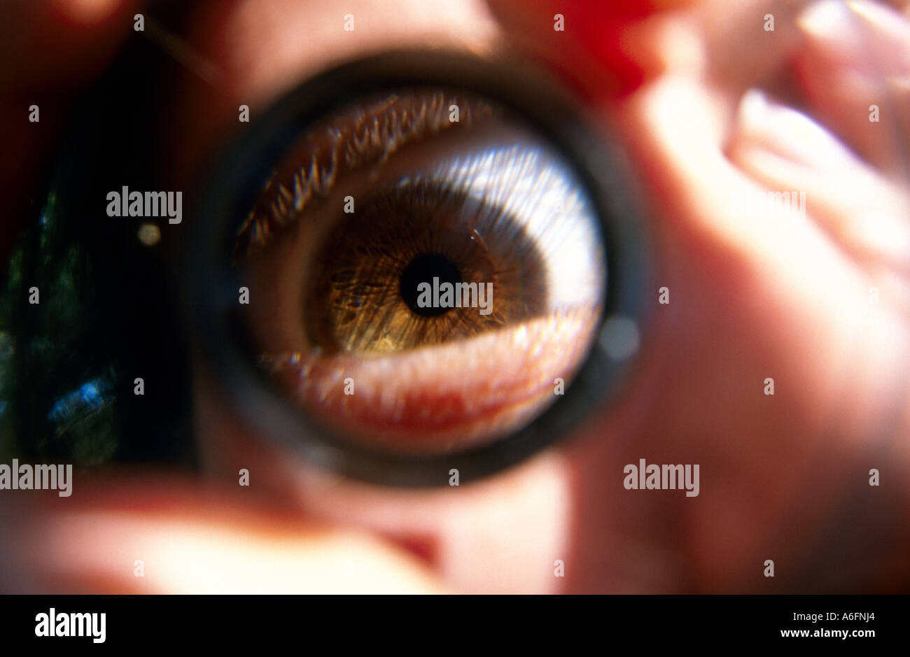 image of girl s human eye enlarged by magnifier Stock Photo - Alamy