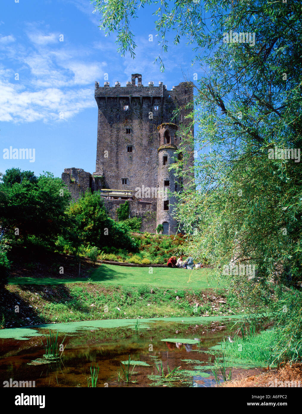 Blarney stone castle hi-res stock photography and images - Alamy
