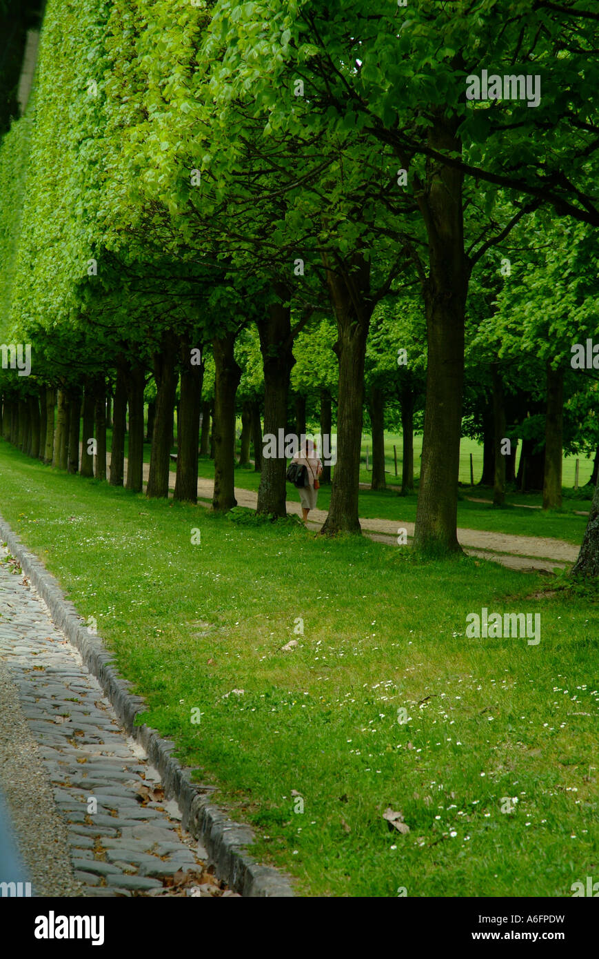 Palace of versailles exteriors hi-res stock photography and images - Alamy
