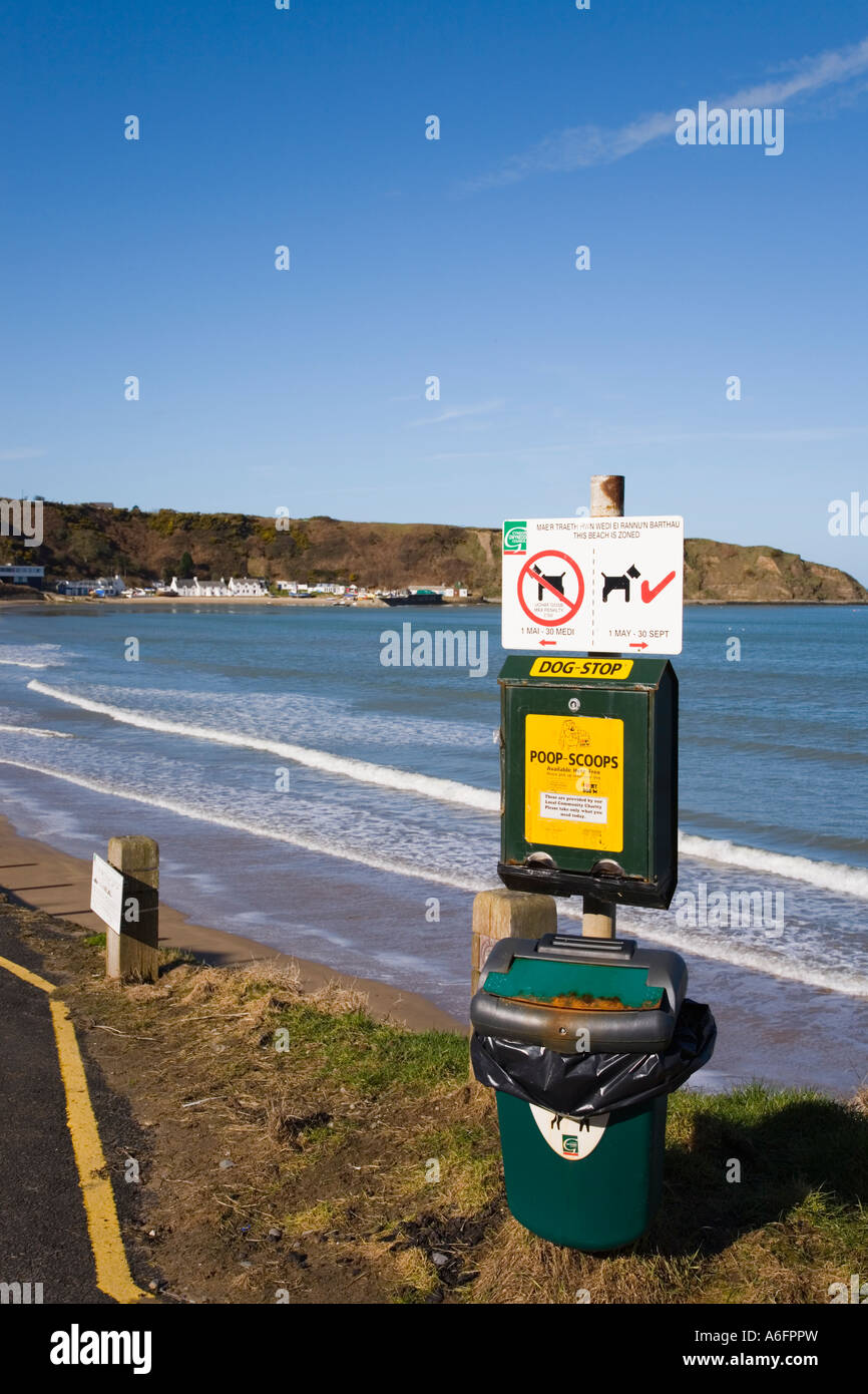 Dog Poop On The Beach